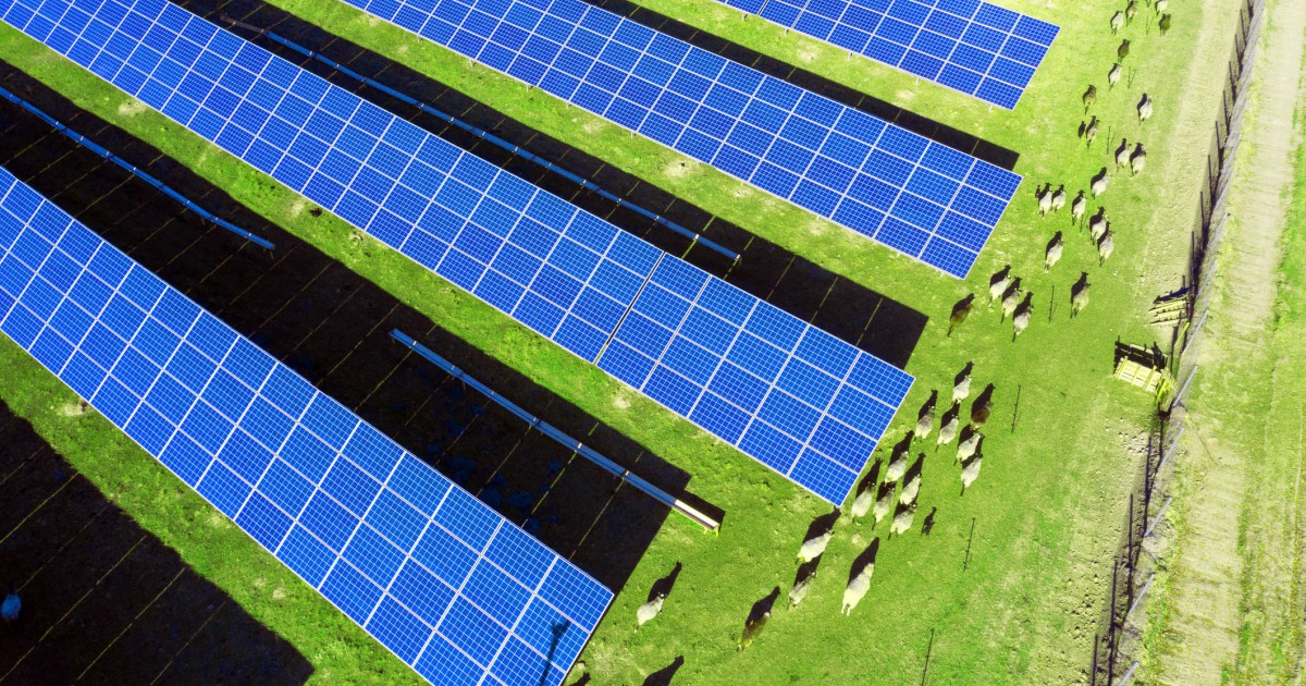 Harmony Energy and First Renewables announce joint venture for the development of New Zealand's ...