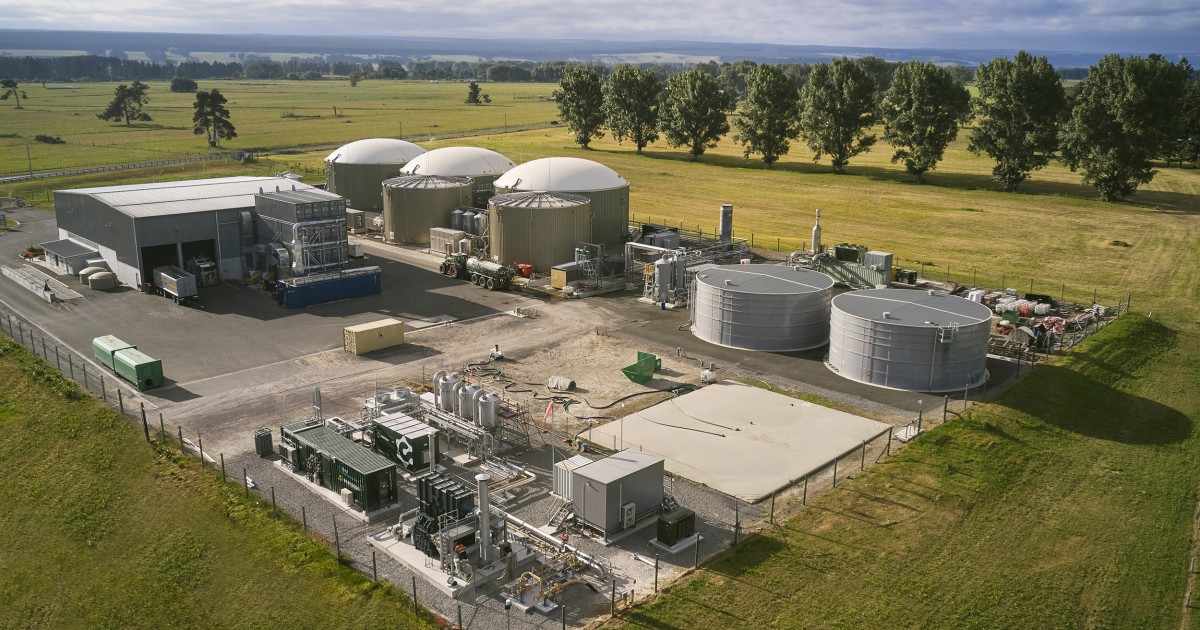 Renewable gas flows in New Zealand pipeline for the first time